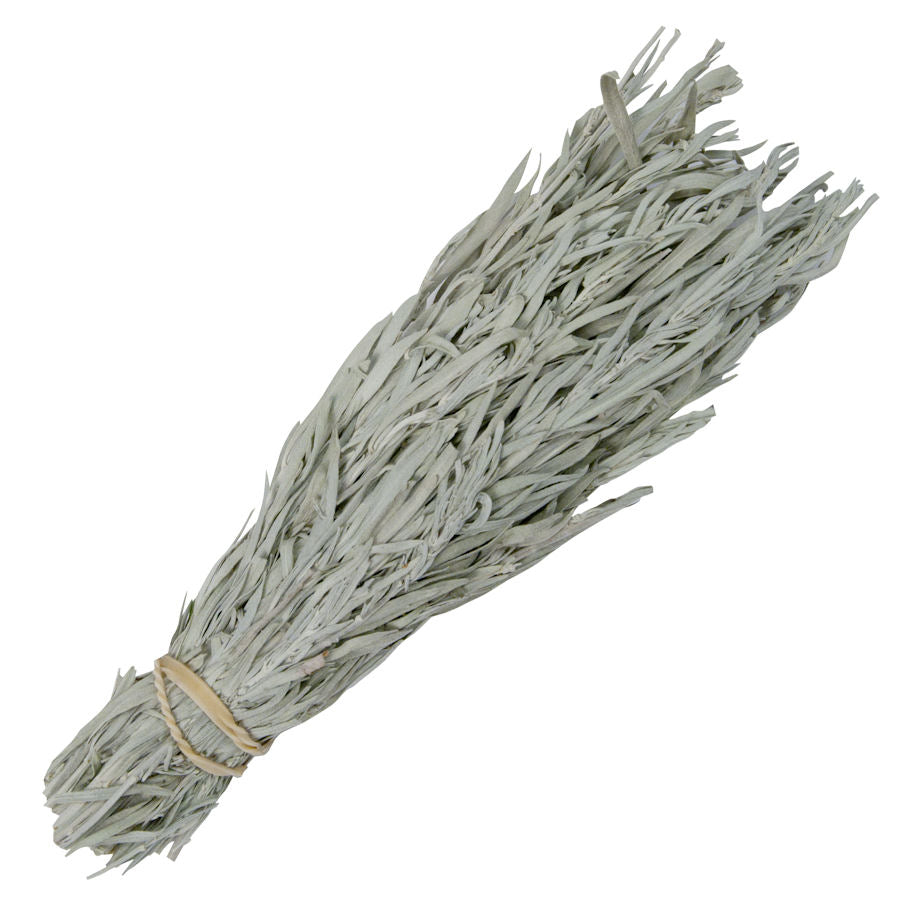 Northern Traditional Sage – Potawatomi Gift Shop